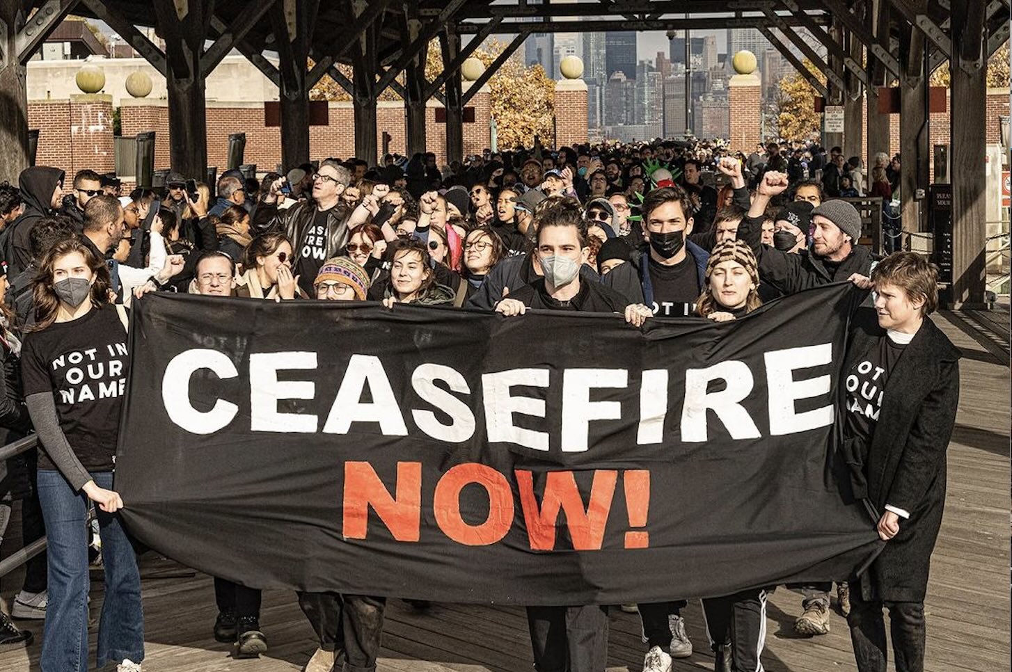 JVP welcomes reported temporary cessation in violence and return of ...